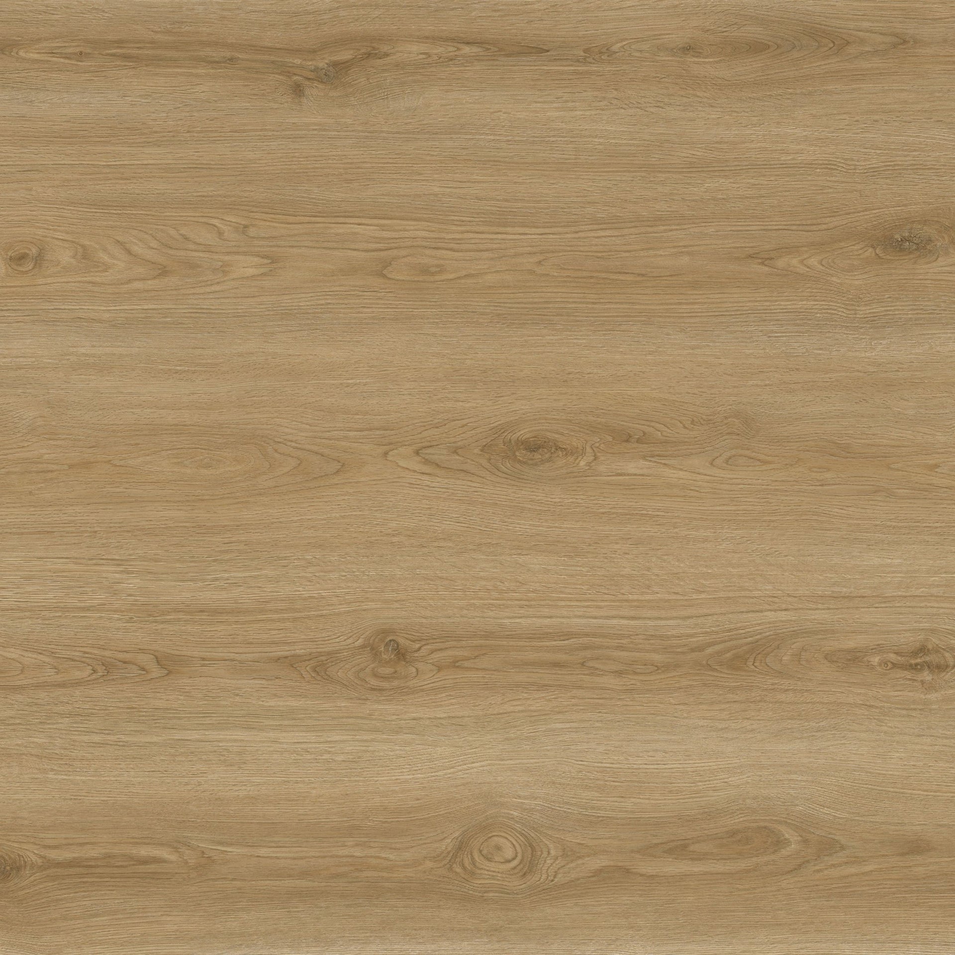 Vinyle Bélize flottant, antimicrobien & résistant | Flordeco